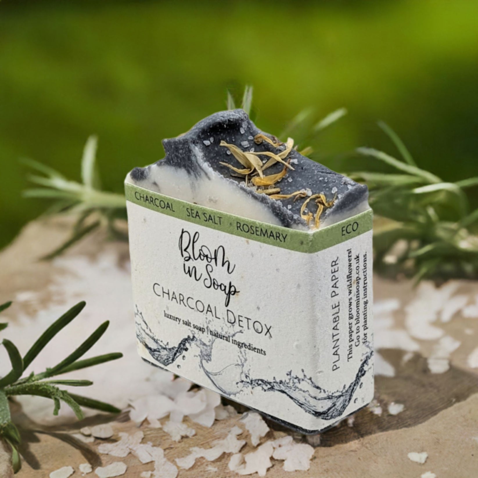Charcoal Detox | Salt Bars | Bloom In Soap